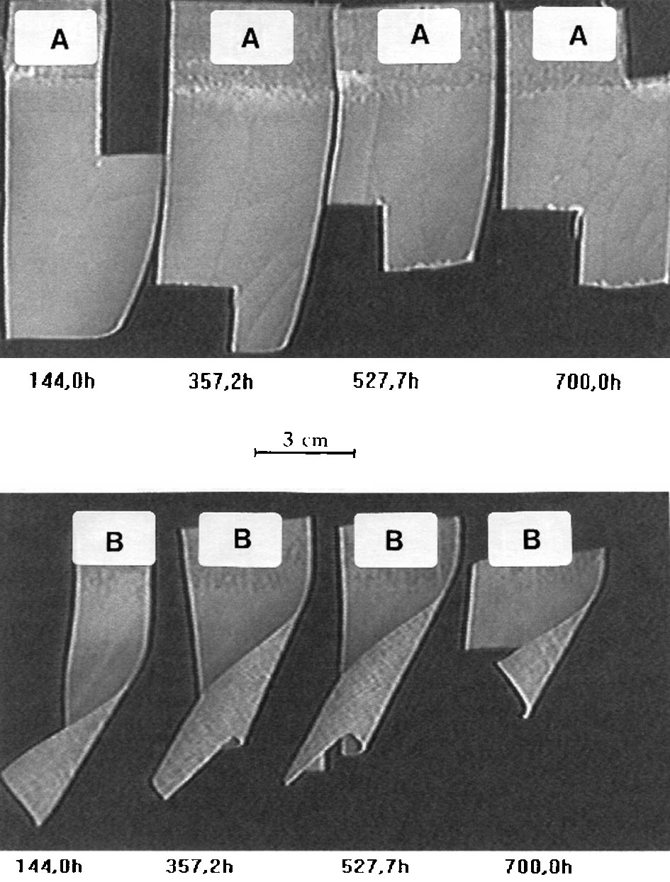 Understanding Canvas Painting Degradation: Effects of Thermal ...