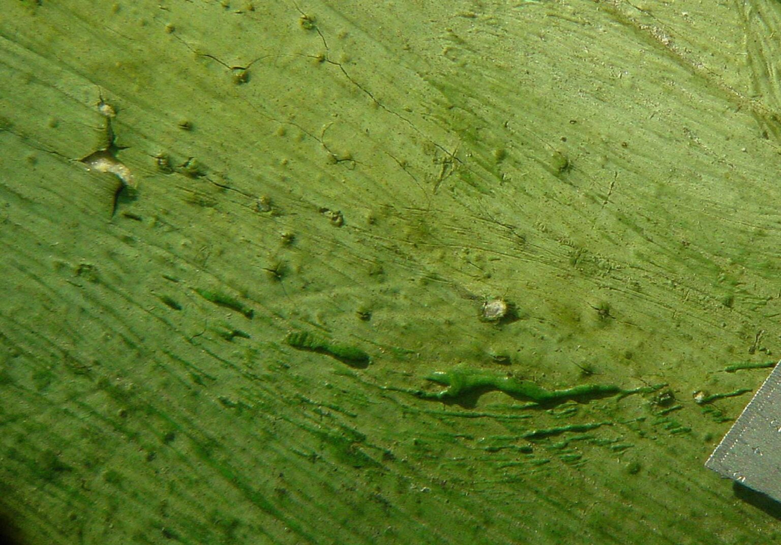 Understanding Extender Pigments: Enhancing Paint Properties – Painting ...