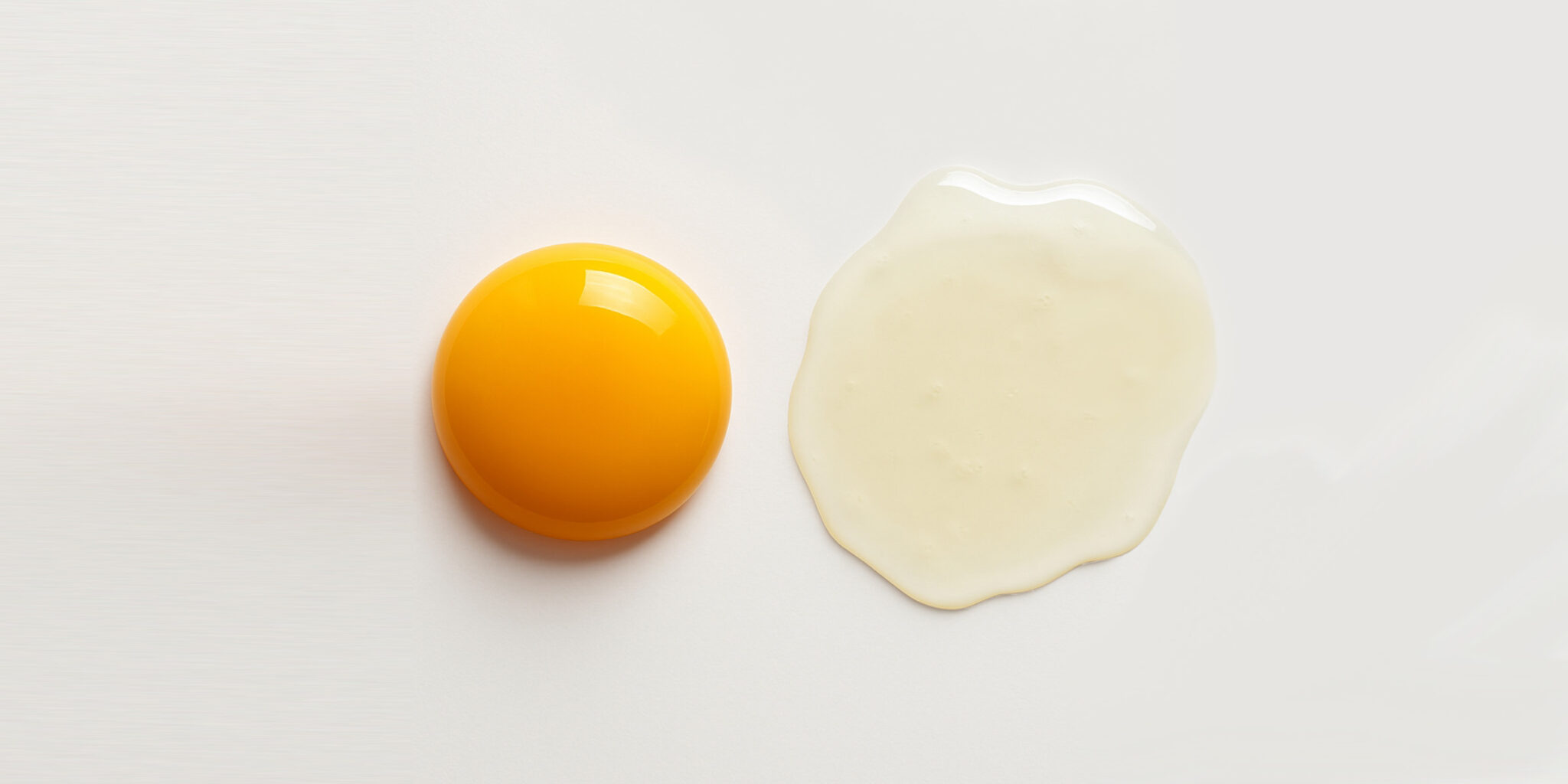 The Renaissance Secret: Understanding the Role of Egg Yolk in Old ...